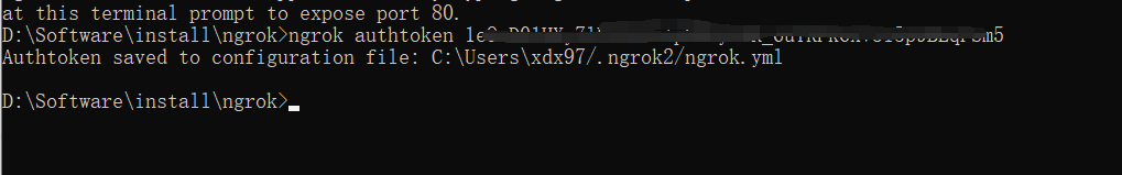 ngrok下载、安装、使用_ngrog-CSDN博客