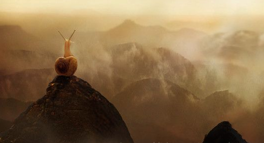 android实现省市区三级联动 citypicker 亲测好用_andorid 省市区 三级联动-CSDN博客