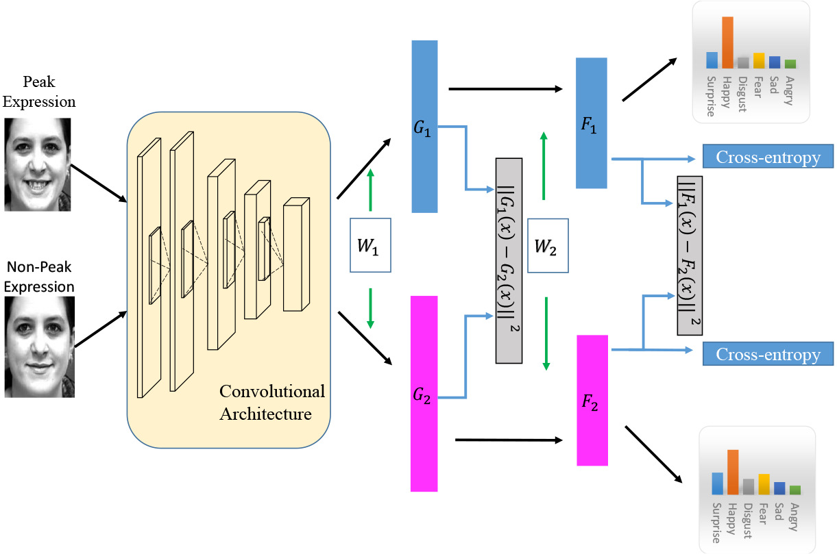 Deep Facial Expression Recognition: A Survey 笔记-CSDN博客