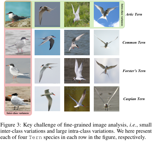 Deep learning for fine-grained image analysis: A survey_fine-grained image analysis with deep ...
