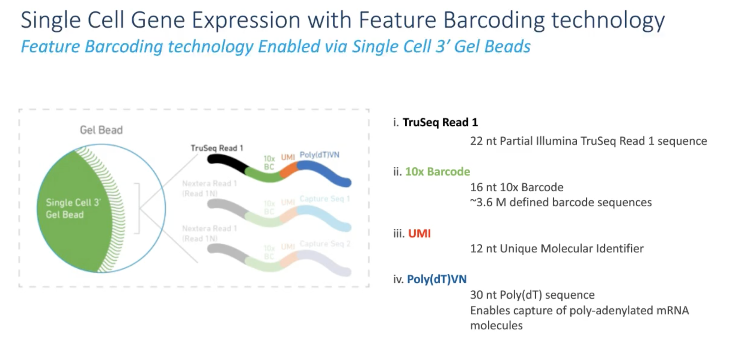 sc-RNA seq与Illumina测序_rna 测序 barcode实现-CSDN博客
