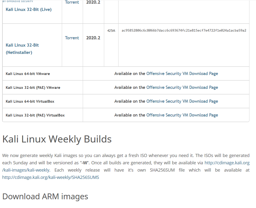 Kali 2020.2虚拟机安装及安装后配置教程（图文小白版）_kali安装后桌面有一个可移动卷-CSDN博客