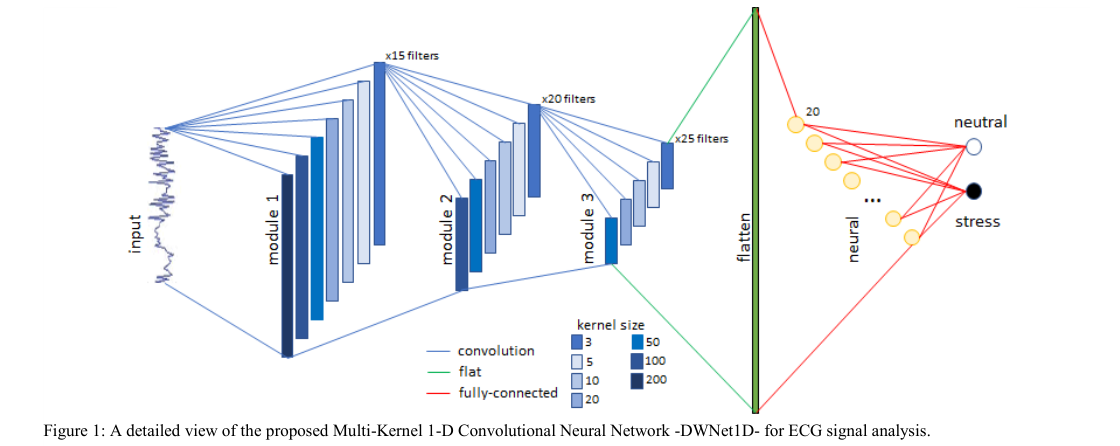 论文阅读：A novel multi-kernel 1D convolutional neural network for stress ...