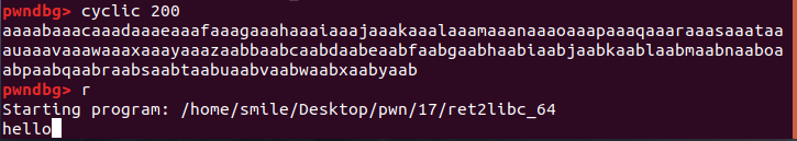 PWN基础17：Ret2Libc 64位实例-CSDN博客