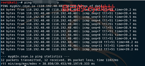 学习笔记---CEYE的使用-CSDN博客