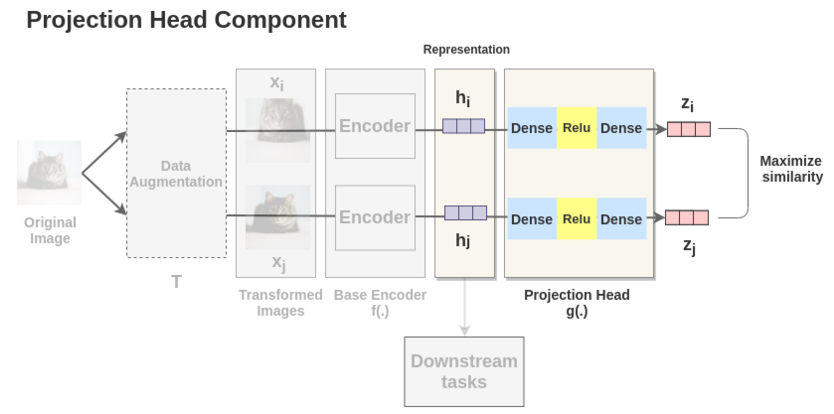 SimCLR笔记_simclr loss torch实现-CSDN博客