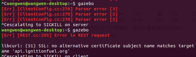 ros开发之疑难杂症_[err] [clientconfig.cc:350] [url] parameter is req-CSDN博客