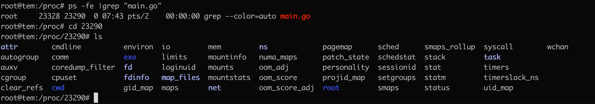 Linux 进程文件系统 /proc详解-CSDN博客