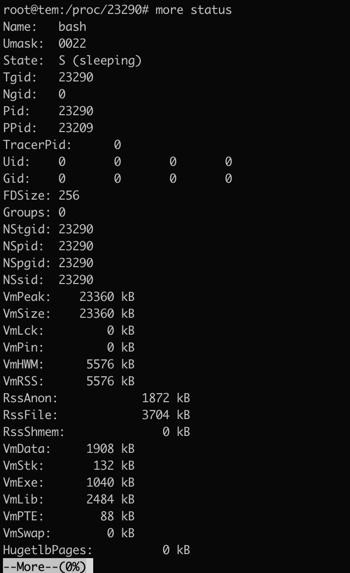 Linux 进程文件系统 Proc详解 Csdn博客