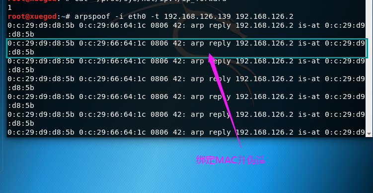 kali-ARP欺骗_arp欺骗kali-CSDN博客