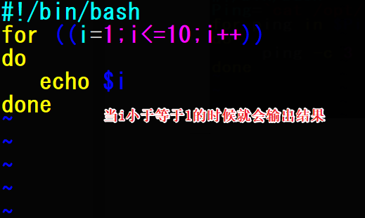 Shell脚本：循环语句（for，while,until)；函数；数组_shell 脚本 循环数组-CSDN博客
