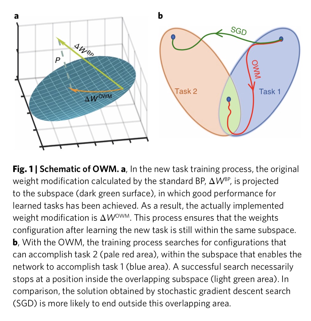 Continual learning of context-dependent processing in neural networks-CSDN博客