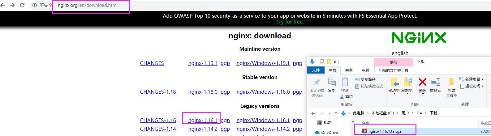 Nginx 在 Linux 下搭建集群（超详细，详细到没朋友）_linux nginx集群搭建-CSDN博客