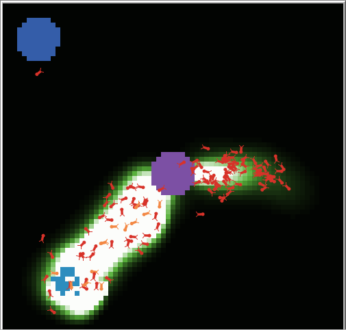 NetLogo学习笔记1 —— 初步认识_netlogo怎么用-CSDN博客