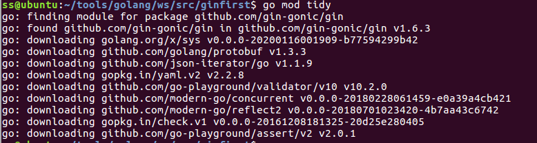 go mod tidy报错verifying module: invalid GOSUMDB: malformed verifier id-CSDN博客