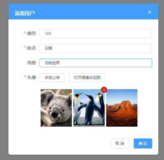 vue---新增用户之拍照或本地上传照片_vue添加用户时上传图片怎么做-CSDN博客