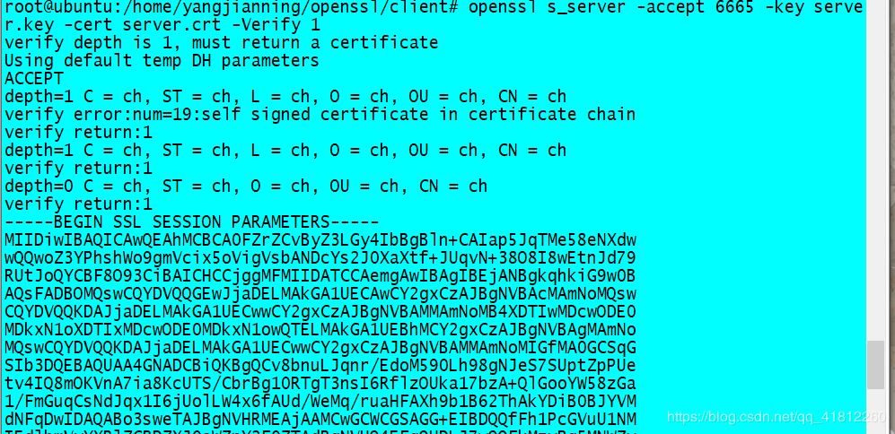 Linux下Stunnel的安装和使用_linux stunnel-CSDN博客