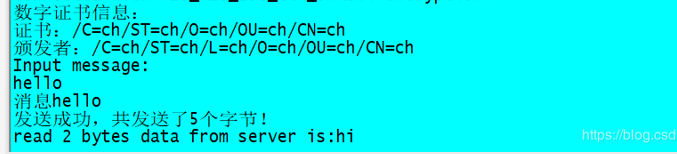 Linux下Stunnel的安装和使用_linux stunnel-CSDN博客