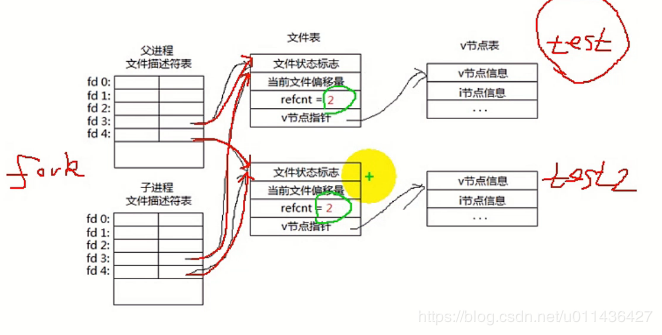 （P12）进程：fork父子进程共享文件，fork与vfork，exit与_exit，atexit，execve_父、子各自打开同一个文件实现文件共享-CSDN博客
