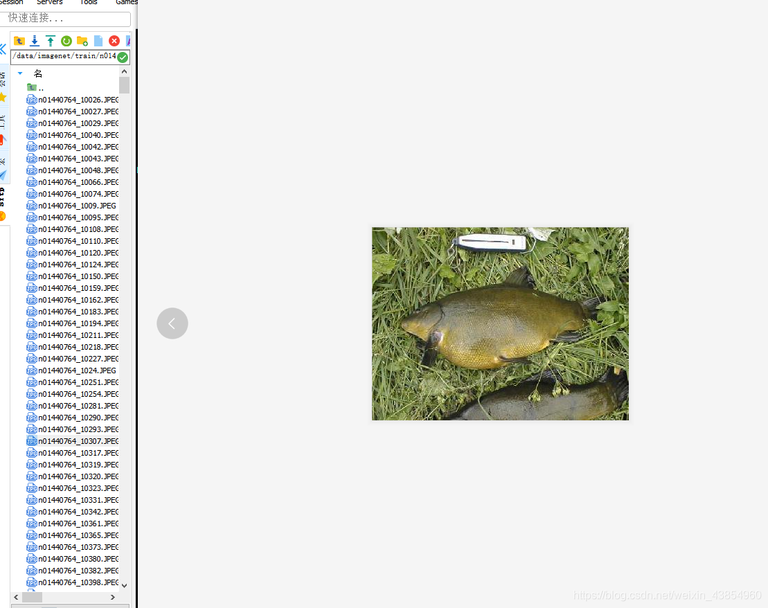 Pytorch简单的加载imagenet这种数据集pytorch Imagenet Csdn博客 2671