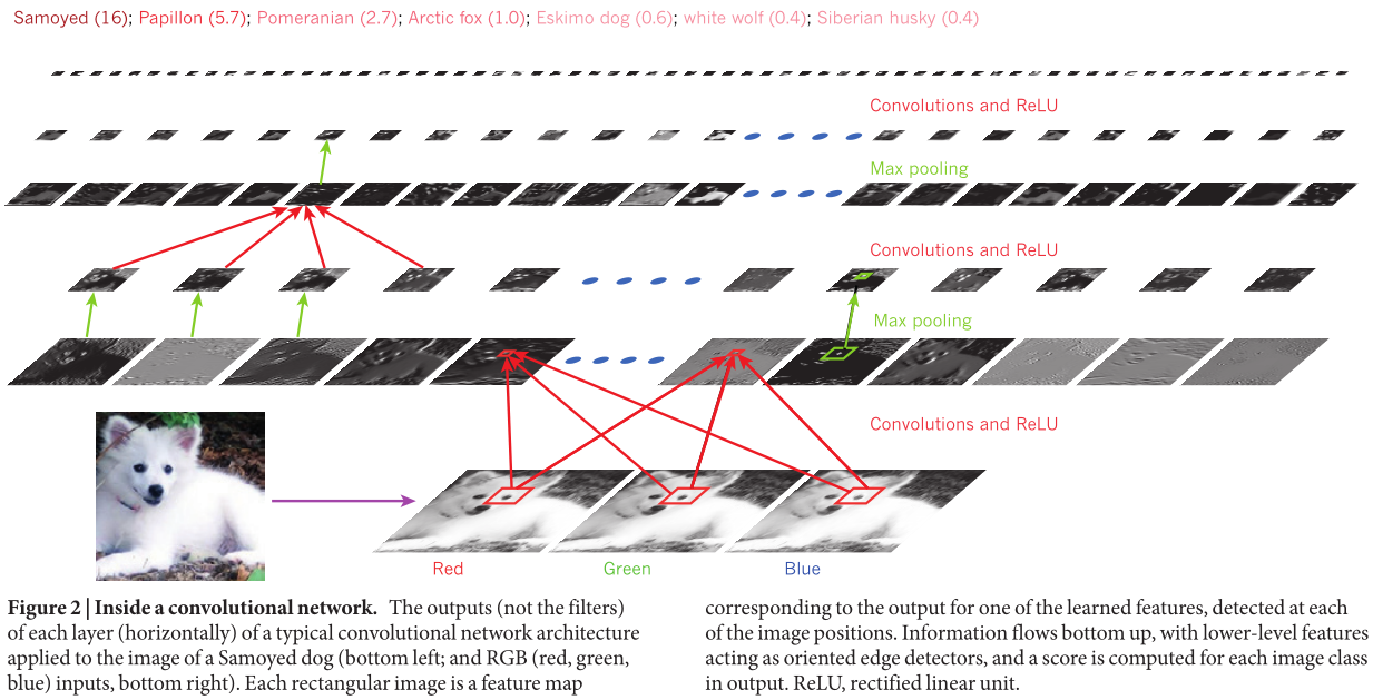 [论文翻译]Deep Learning 翻译及阅读笔记_deep learning based pixelized forward ...