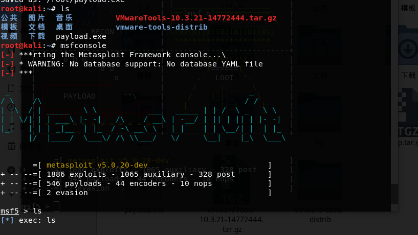 Kali Linux-Metasploit入侵Windows10系统_运用kali怎么攻击win10-CSDN博客