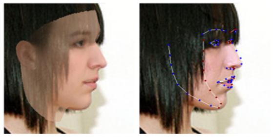 论文笔记：3DDFA(TPAMI2018)-CSDN博客