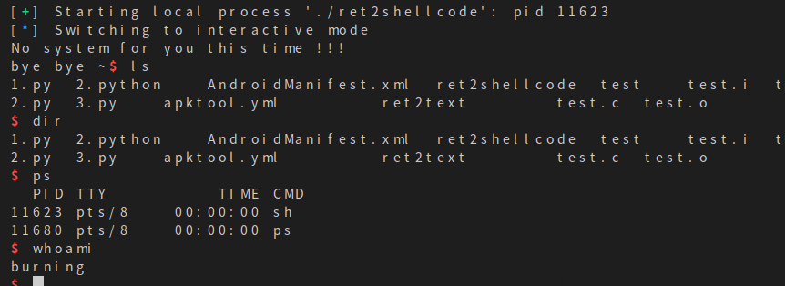 栈溢出攻击(2)-ROP基础(1)_栈溢出 基本rop-CSDN博客
