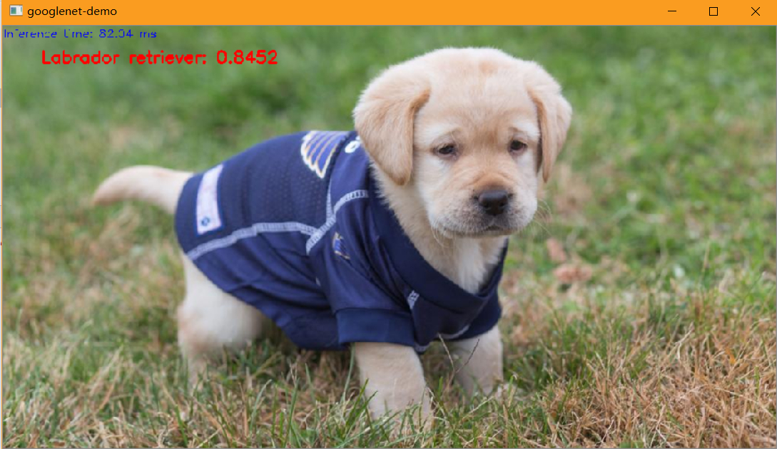 OpenCV DNN单张与多张图像的推断_cv::dnn::blobfromimage-CSDN博客