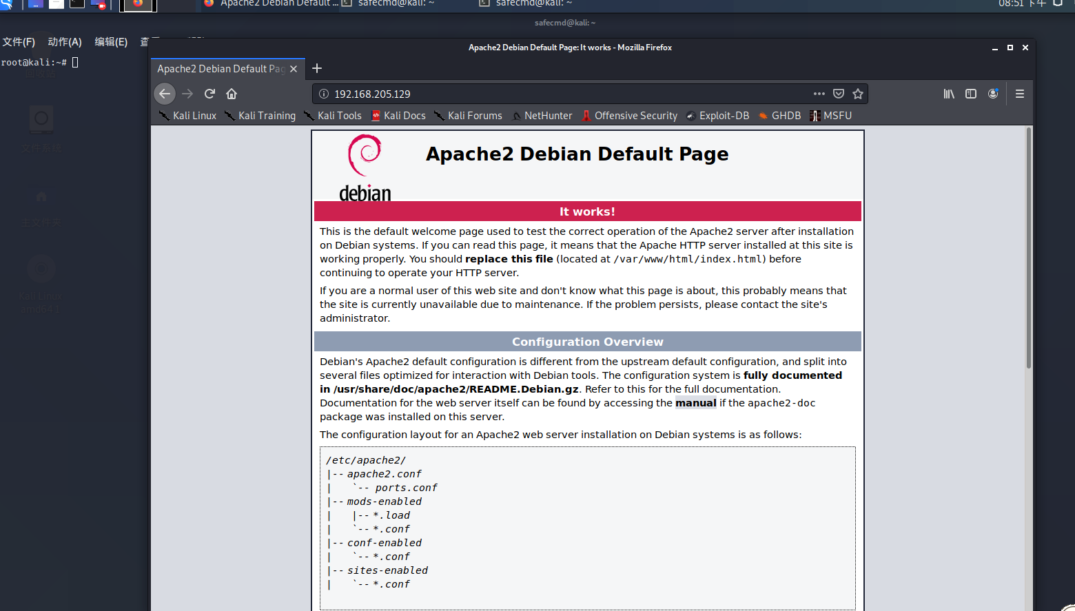 DNS缓存(DNS劫持)攻击过程演示_dns spoof-CSDN博客
