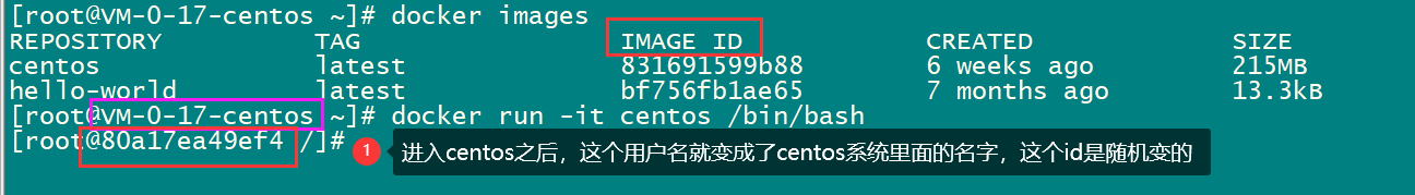 Docker学习详细笔记-后续不断更新_nc: port number invalid: waiting for connection to-CSDN博客