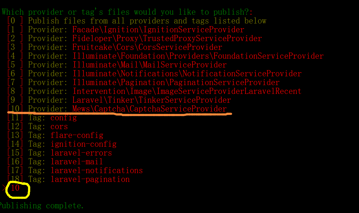 Laravel中图片验证码以及错误处理laravel 验证码报500 Csdn博客