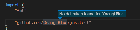 VS Code Golang无法跳转函数定义（Go to Definition）解决方案_vscode go go to definition-CSDN博客