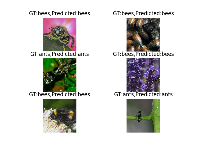 【Pytorch】hymenoptera_hymenoptera——data-CSDN博客