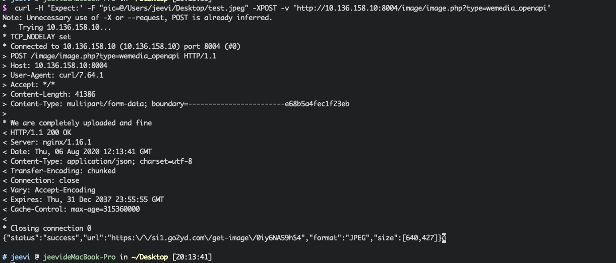 POST请求Expect:100-continue出现两次请求问题_except100continue postman-CSDN博客