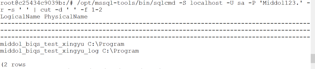 Docker环境下SqlServer数据库使用bak文件还原_用bak还原docker上的sqlserver-CSDN博客
