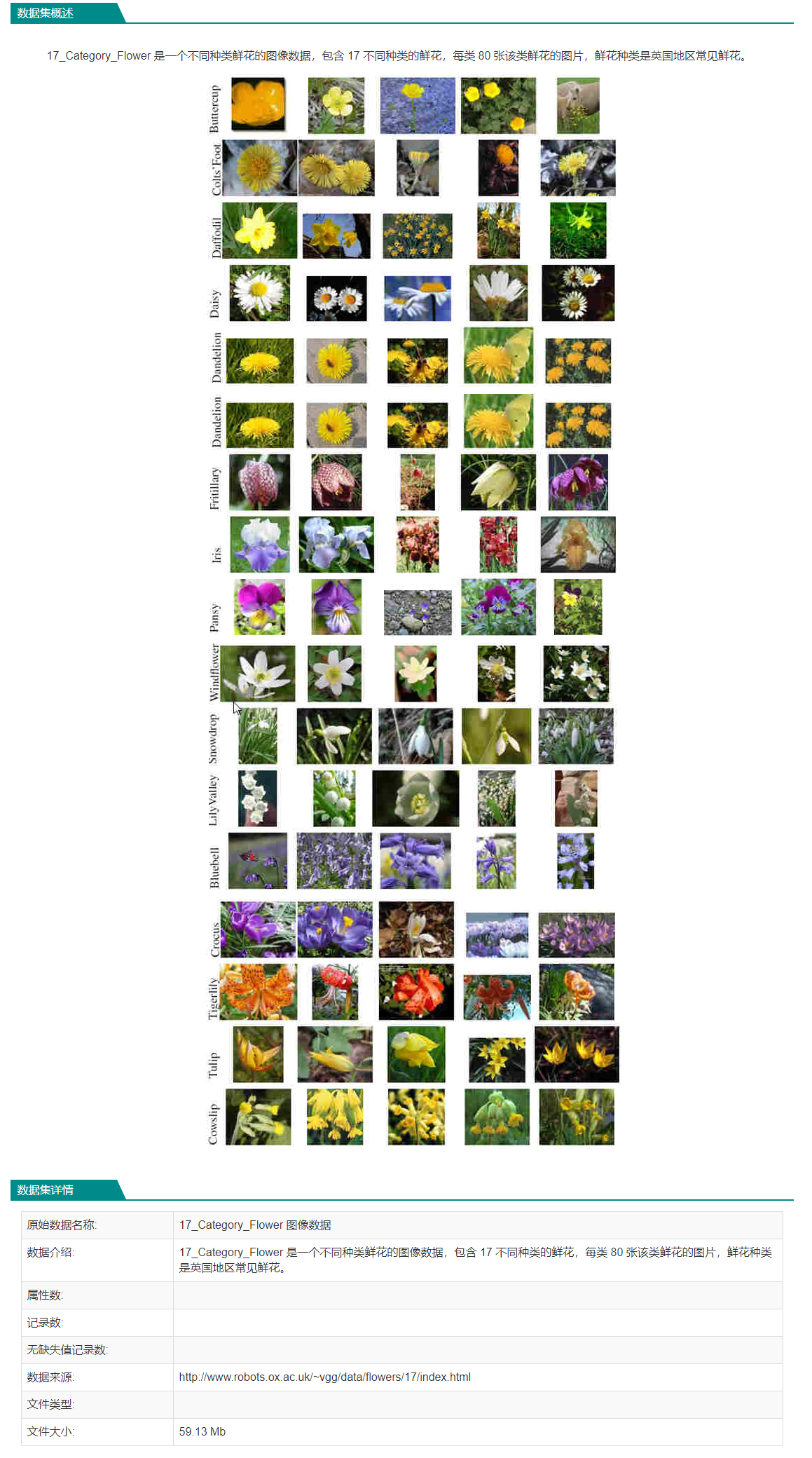 08_01Oxflower17花数据的读取-基于VGG牛津花迁移学习项目.py_17 category flower dataset-CSDN博客
