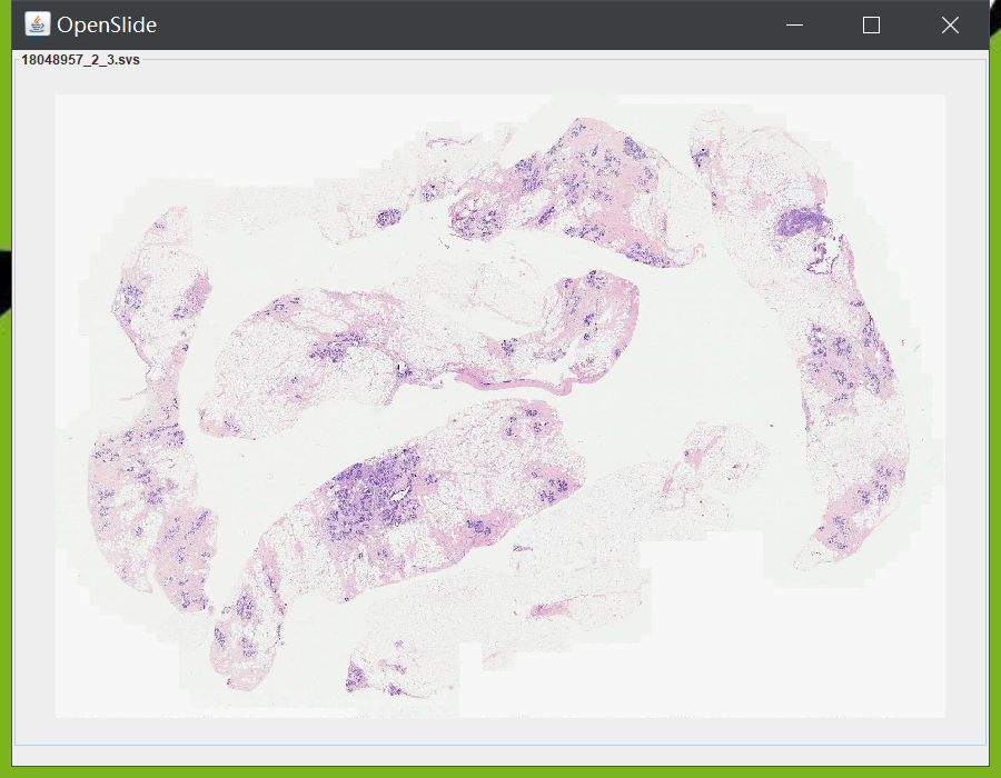 运行openslide-java官方示例-CSDN博客