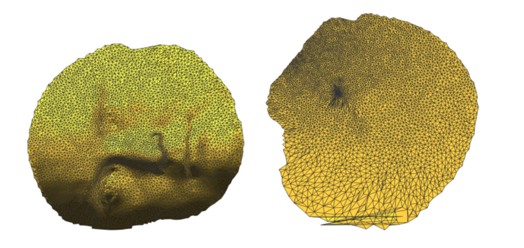 最小二乘保角参数化（Least Square Conformal Maps）_least squares conformal maps-CSDN博客