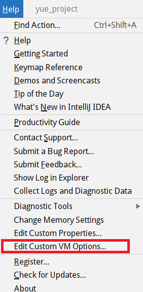 idea vm option设置_idea vmoption -dserver.port=-CSDN博客