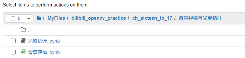 jupyter notebook opens the .ipynb file in the specified folder ...