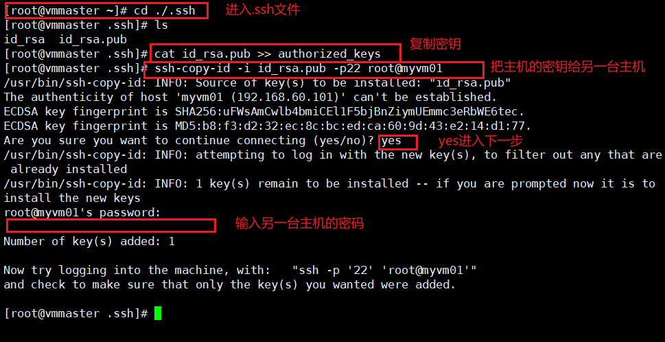 Linux中root用户之间的免密登录_root账号设备之间切换免密登录-CSDN博客