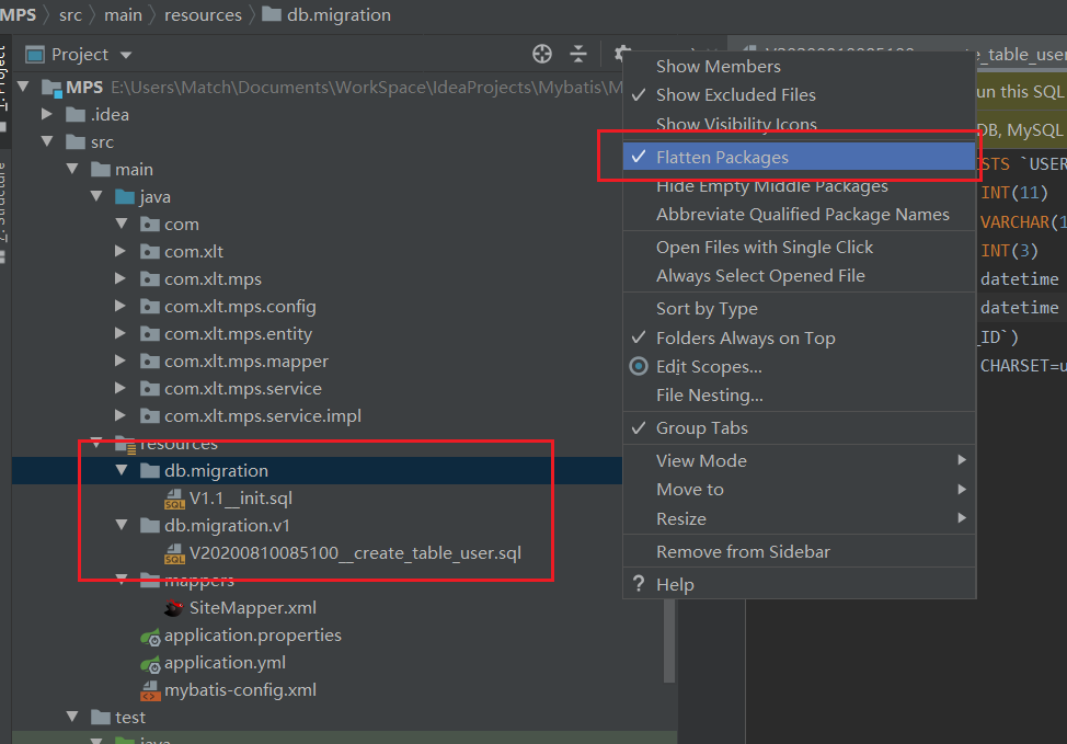 Flyway failed to initialize: none of the following migration scripts locations could be found:问题 ...