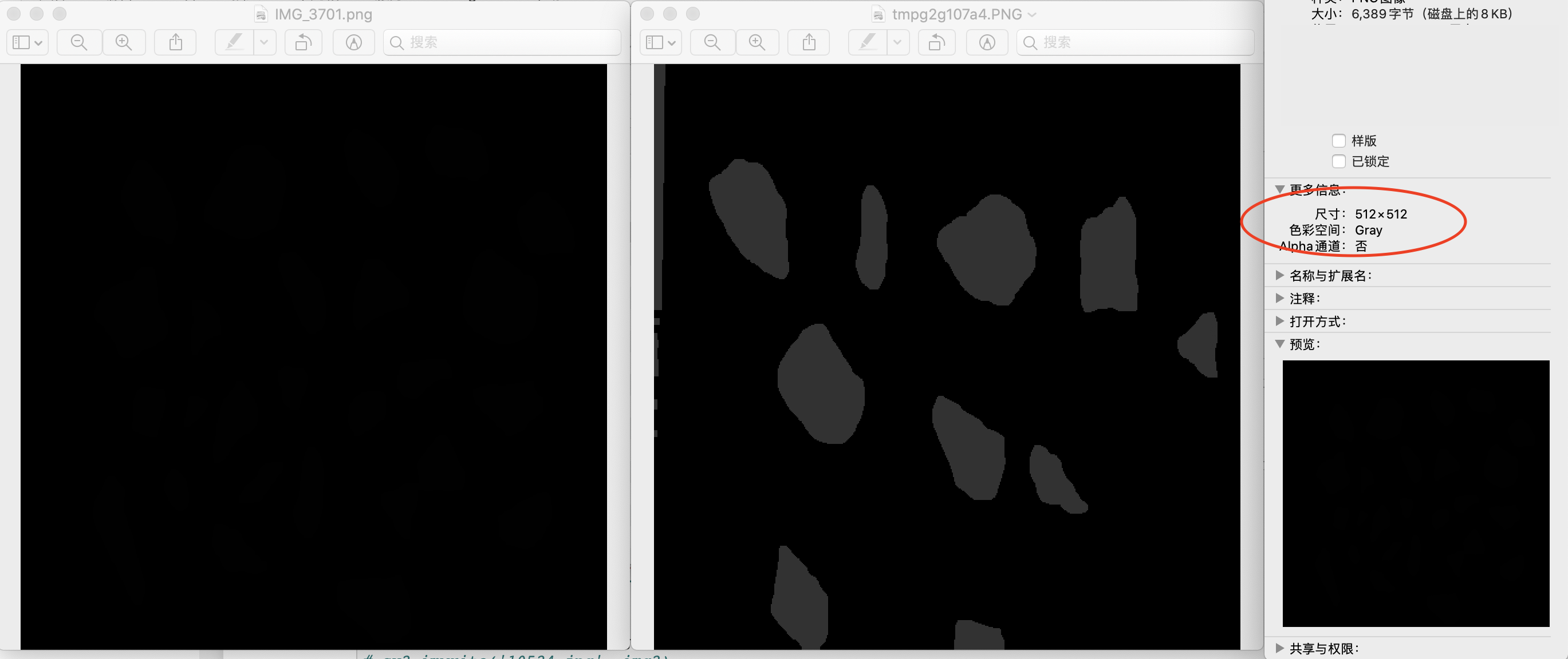 Pytorch 语义分割deeplabv3 训练自己的数据集 从数据准备到模型训练 Deeplabv3 模型pytorch 叶片病害分割 Csdn博客