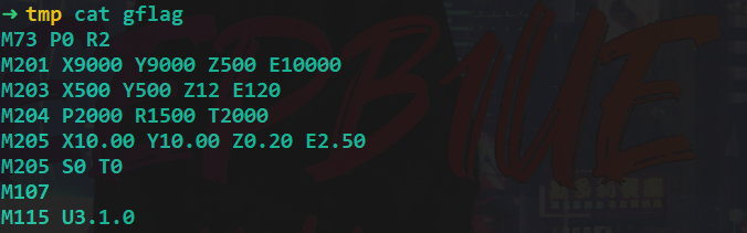 [INSHack2019]gflag-CSDN博客