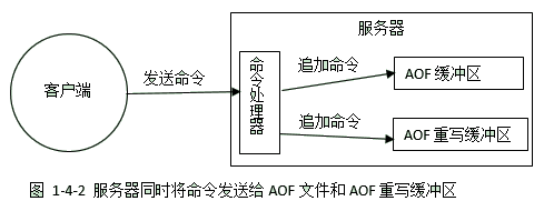 Redis 持久化——AOF 详解_redis aof-CSDN博客