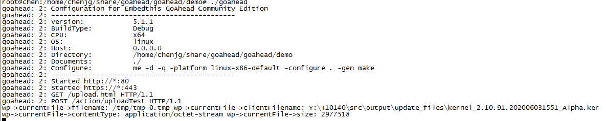 goahead（嵌入式Web服务器）之总结篇_web goahead-CSDN博客