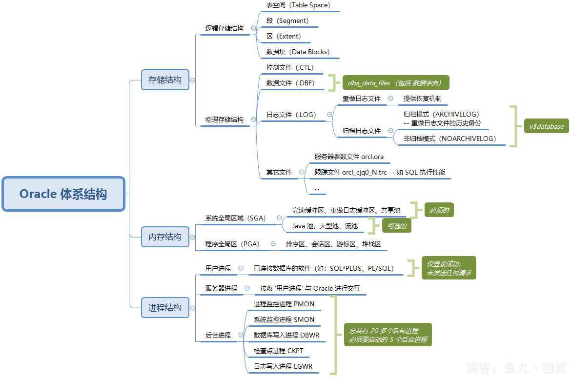 Oracle 体系结构详解(存储结构 内存结构 进程结构)请阐述oracle 文件结构、存储的逻辑结构、sga和pga、后台进程的