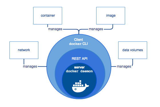 Docker—Docker基本概念以及执行流程_什么是 docker 容器的运行过程? docker 容器的运行过程可以简单地概括为以下-CSDN博客