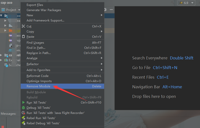 IDEA导入maven项目及删除module_idea maven侧边栏 删除模块-CSDN博客
